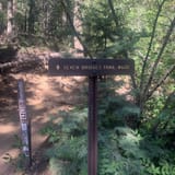 Seven Bridges Trail, Colorado - 7,711 Reviews, Map | AllTrails