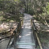 Cedar Ridge Outer Loop, Texas - 2,325 Reviews, Map | AllTrails