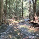 Prospect Rock Trail, Vermont - 946 Reviews, Map | AllTrails