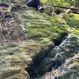 Prospect Rock Trail, Vermont - 946 Reviews, Map | AllTrails