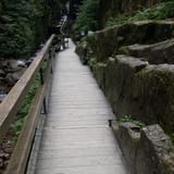 The Flume Gorge Trail, New Hampshire - 4,494 Reviews, Map | AllTrails