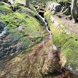 Prospect Rock Trail, Vermont - 946 Reviews, Map | AllTrails