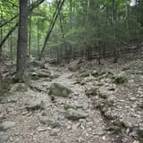 Scenic Trail Cut-off and Maiden Cliff Trail, Maine - 1,551 Reviews, Map ...