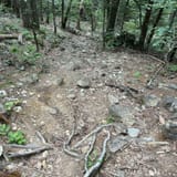 Scenic Trail Cut-off and Maiden Cliff Trail, Maine - 1,551 Reviews, Map ...