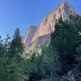 Middle Fork Taylor Creek Trail, Utah - 3,531 Reviews, Map | AllTrails