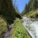 Eagle Creek Trail, Oregon - 885 Reviews, Map | AllTrails