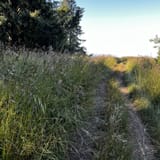 The Knoll Loop, Oregon - 3,308 Reviews, Map | AllTrails