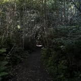 The Knoll Loop, Oregon - 3,308 Reviews, Map | AllTrails