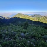 Provo Peak Trail, Utah - 181 Reviews, Map | AllTrails
