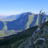 Provo Peak Trail, Utah - 181 Reviews, Map | AllTrails
