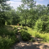 Buck Mountain Trail, New York - 3,365 Reviews, Map | AllTrails