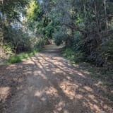 Puddingstone Reservoir Loop, California - 1,986 Reviews, Map | AllTrails