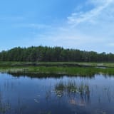 Batsto Lake Trail, New Jersey - 1,834 Reviews, Map | AllTrails