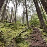 Lake Constance Trail, Washington - 227 Reviews, Map | AllTrails