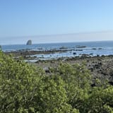 Cape Alava Trail, Washington - 556 Reviews, Map | AllTrails