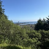 Cape Alava Trail, Washington - 556 Reviews, Map | AllTrails