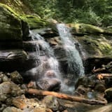 Daniel Ridge Loop, North Carolina - 2,099 Reviews, Map | AllTrails