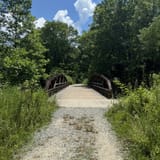 Daniel Ridge Loop, North Carolina - 2,066 Reviews, Map | AllTrails