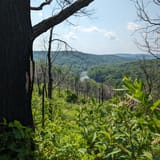 Cave Spring Loop Trail, Missouri - 373 Reviews, Map | AllTrails