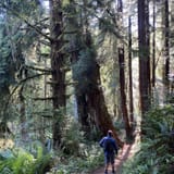 Berry Glen and Lady Bird Grove Trail , California - 564 Reviews, Map ...