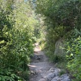 Junction Creek Campground via Junction Creek Trail, Colorado - 455 ...