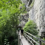 Indian Ladder Trail, New York - 910 Reviews, Map | AllTrails