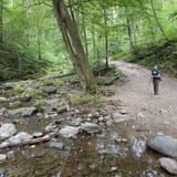 Mount Tammany via Red Dot and Blue Dot Loop Trail, New Jersey - 13,764 ...