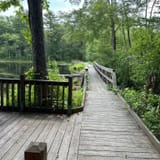 Arcadia Trail Loop, Rhode Island - 279 Reviews, Map | AllTrails
