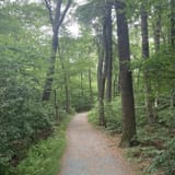 Limberlost Trail, Virginia - 933 Reviews, Map | AllTrails