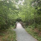 Limberlost Trail, Virginia - 933 Reviews, Map | AllTrails