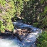 Spruce Creek Loop, Colorado - 1,876 Reviews, Map | AllTrails