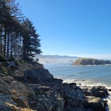 Cape Sebastian Trail, Oregon - 866 Reviews, Map | AllTrails