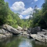 Spence Ridge Trail, North Carolina - 307 Reviews, Map | AllTrails