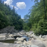 Spence Ridge Trail, North Carolina - 317 Reviews, Map | AllTrails