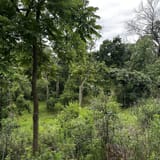 Ice Age Trail: Blue Spring Lake Segment, Wisconsin - 602 Reviews, Map ...