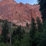 Middle Fork Taylor Creek Trail, Utah - 3,531 Reviews, Map | AllTrails