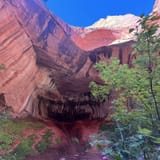Middle Fork Taylor Creek Trail, Utah - 3,531 Reviews, Map | AllTrails