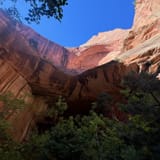 Middle Fork Taylor Creek Trail, Utah - 3,531 Reviews, Map | AllTrails