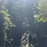 Fern Creek, Lost, and Canopy Trail Loop, California - 2,911 Reviews ...