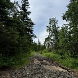 Cove Point Loop to Superior Hiking Trail Loop, Minnesota - 169 Reviews ...