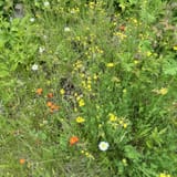 Cove Point Loop to Superior Hiking Trail Loop, Minnesota - 164 Reviews ...