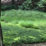 Sprague Brook Park Trail, New York - 1,407 Reviews, Map | AllTrails