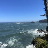 Cape Arago Loop Trail, Oregon - 382 Reviews, Map | AllTrails