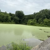 Horseshoe Bluff Nature Trail, Iowa - 761 Reviews, Map | AllTrails