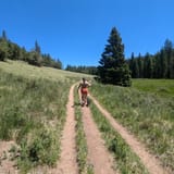 Raspberry Mountain Trail via Ring the Peak Trail, Colorado - 2,034 ...