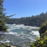 Cape Arago Loop Trail, Oregon - 383 Reviews, Map | AllTrails