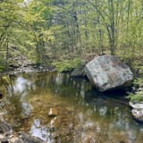 Reeves Brook Loop Trail, New York - 4,817 Reviews, Map | AllTrails