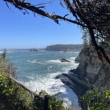 Cape Arago Loop Trail, Oregon - 347 Reviews, Map | AllTrails