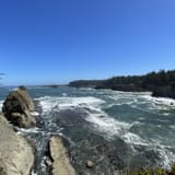 Cape Arago Loop Trail, Oregon - 347 Reviews, Map | AllTrails