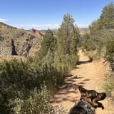 Mount Falcon Castle Trail Loop, Colorado - 4,680 Reviews, Map | AllTrails